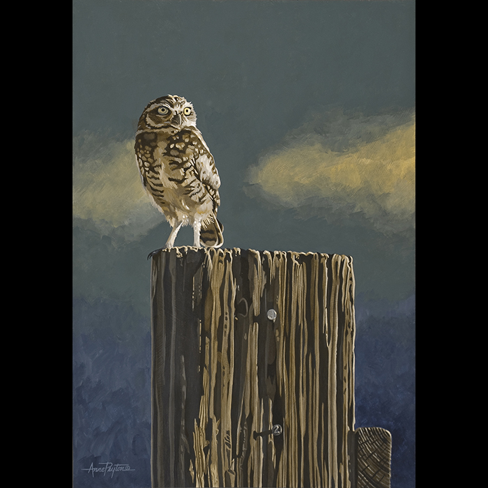 The International Guild of Realism | 2024 Fall Salon Exhibition